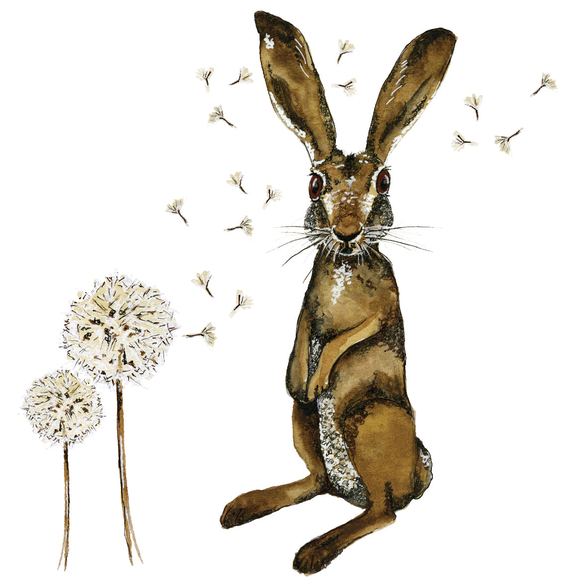 Harry the Hare – Purely Home Trade